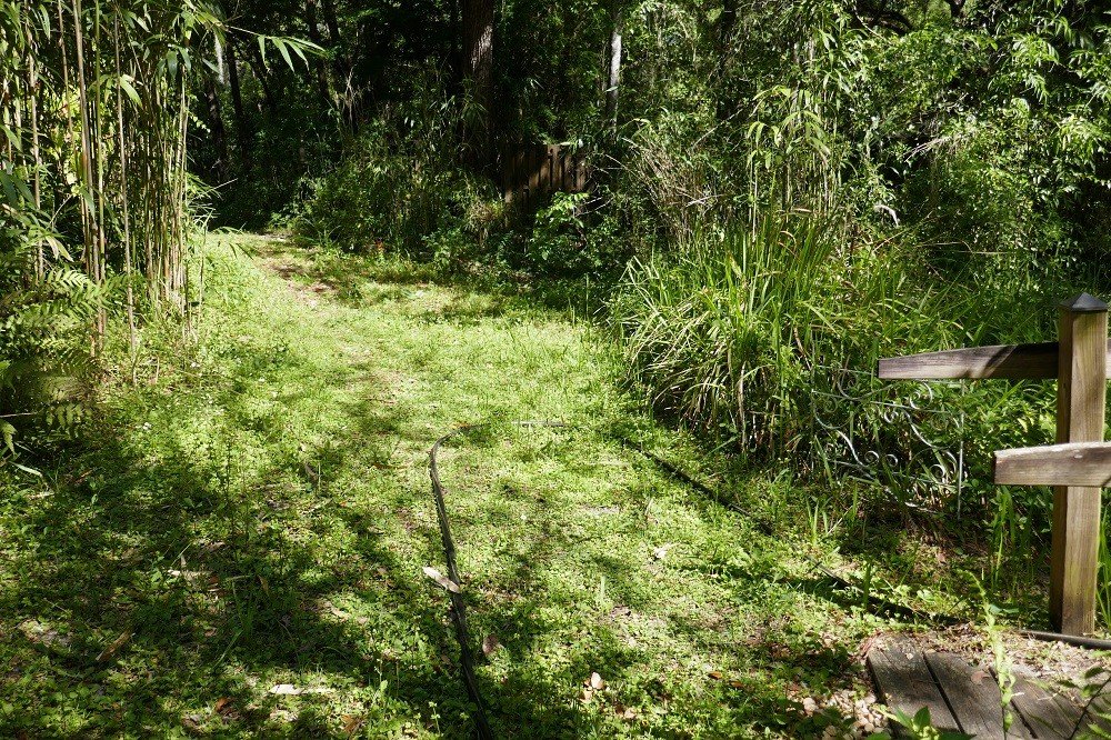 4 Steps to Tidy Up a Garden Path - Sharons Florida